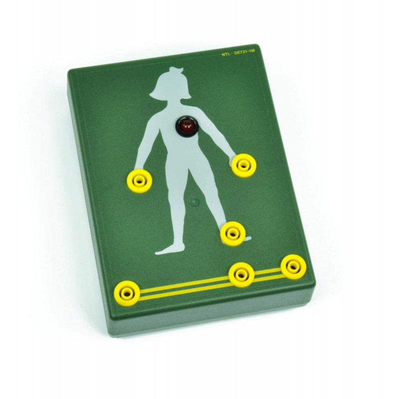 MBI Model Of Human Body MBI Model Of Human Body